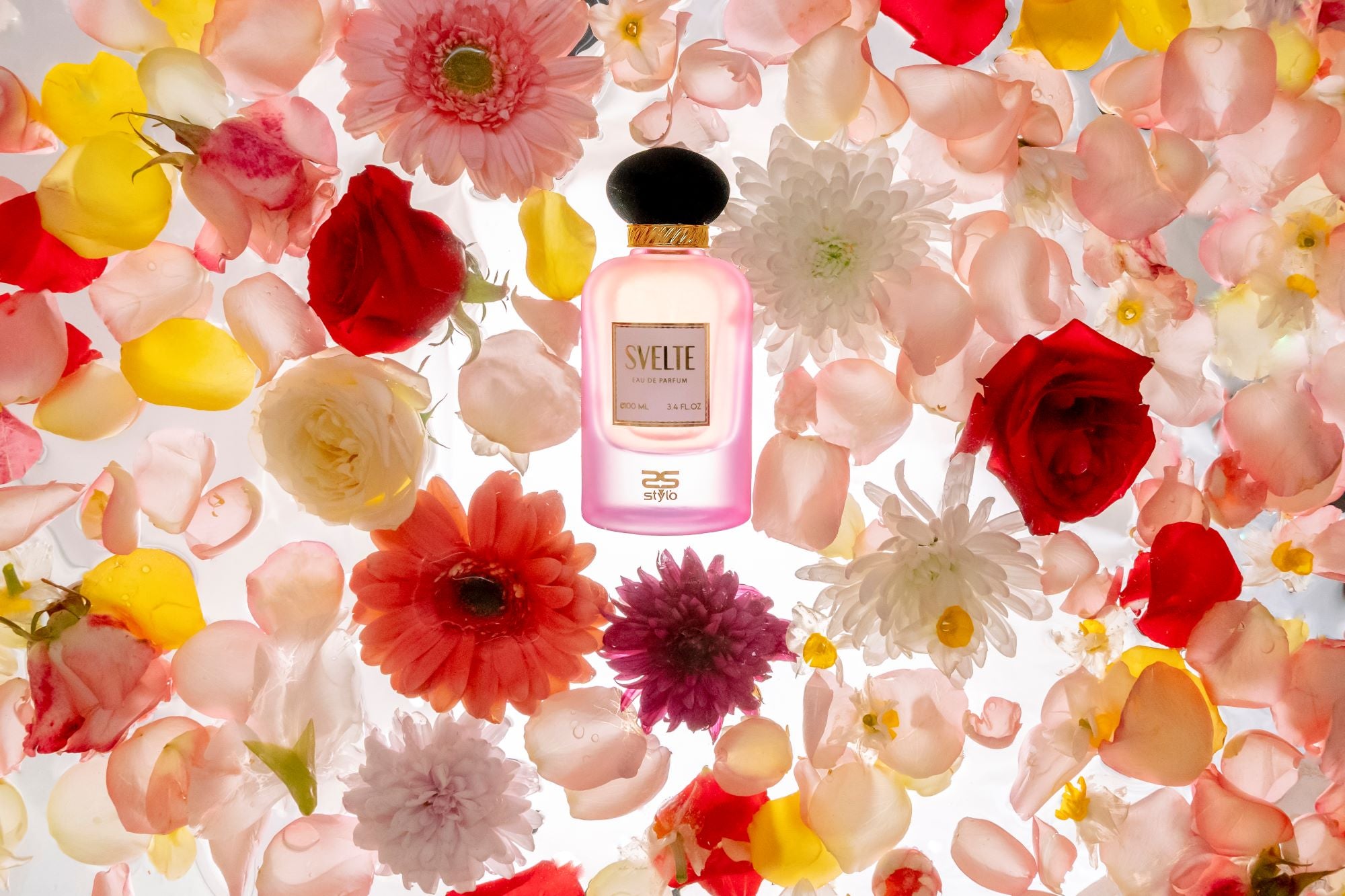 Elevate Your Spirits with Enchanting Stylo Fragrances