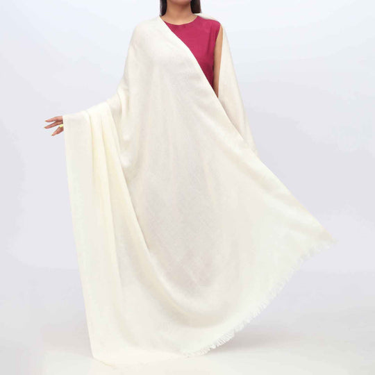 Latest Shawl Collection for Women - Stylo